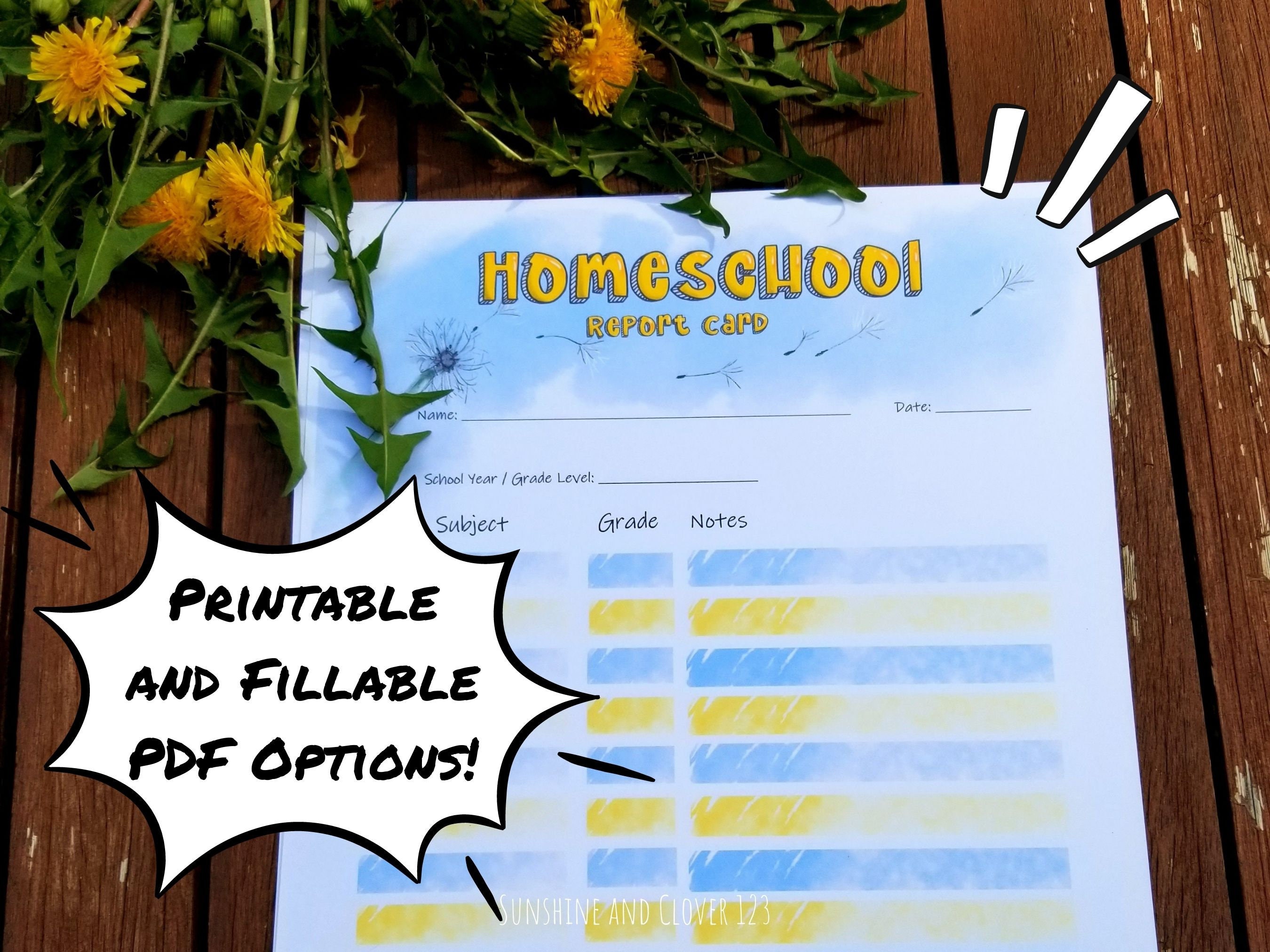 Homeschool Grade Card, Report Card for Homeschoolers, Homeschooling ...