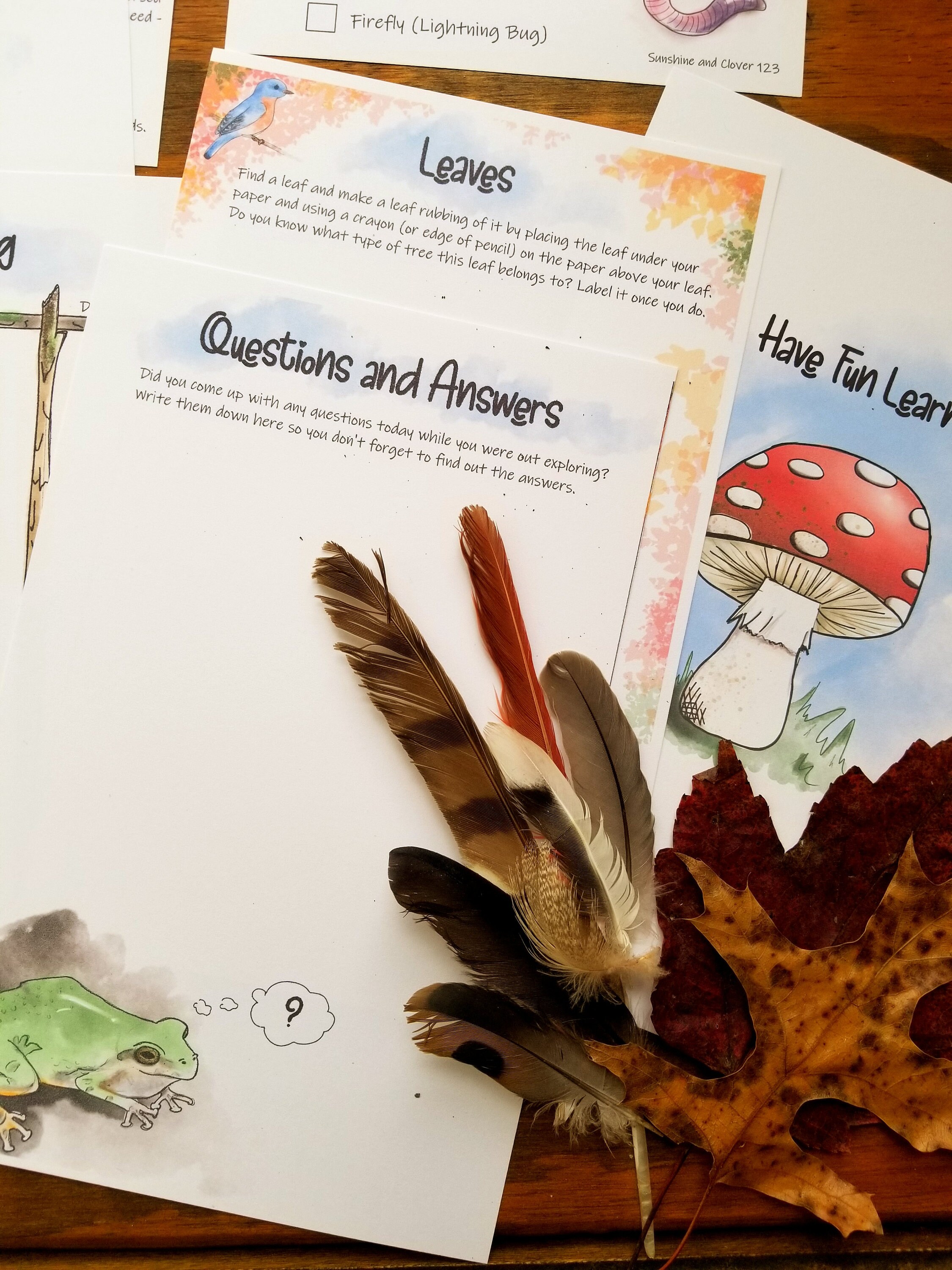 Nature Journal for Kids, Printable Nature Booklet, Charlotte Mason ...