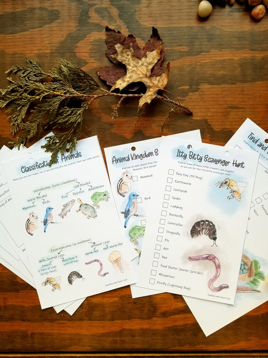 Nature Journal Printable Nature Booklet Outdoor Activities - Etsy