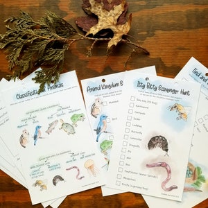 Nature Journal, Printable Nature Booklet, Outdoor Activities for Kids ...