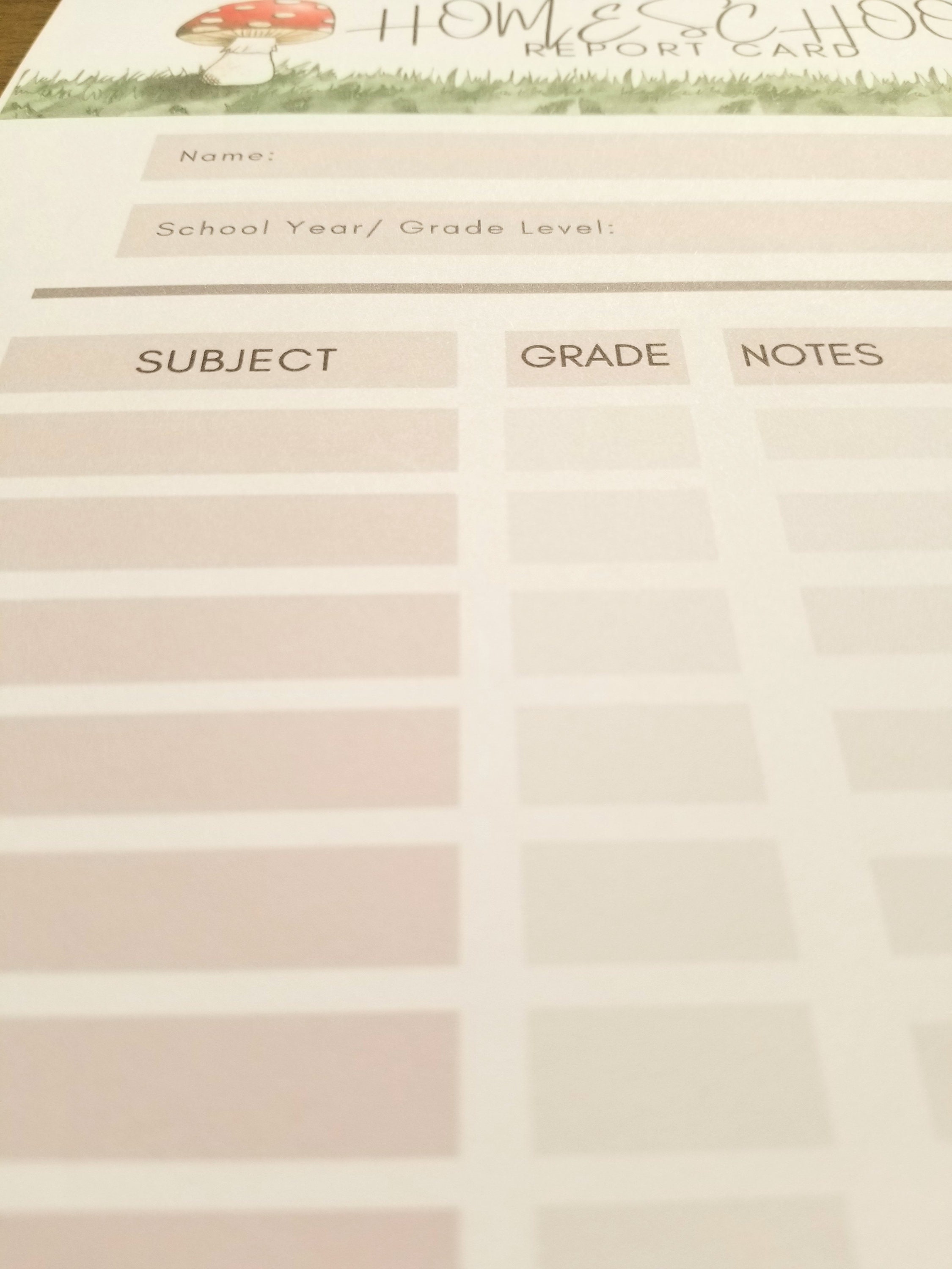 Printable Homeschool Report Card, Hand Illustrated Grade Card for ...