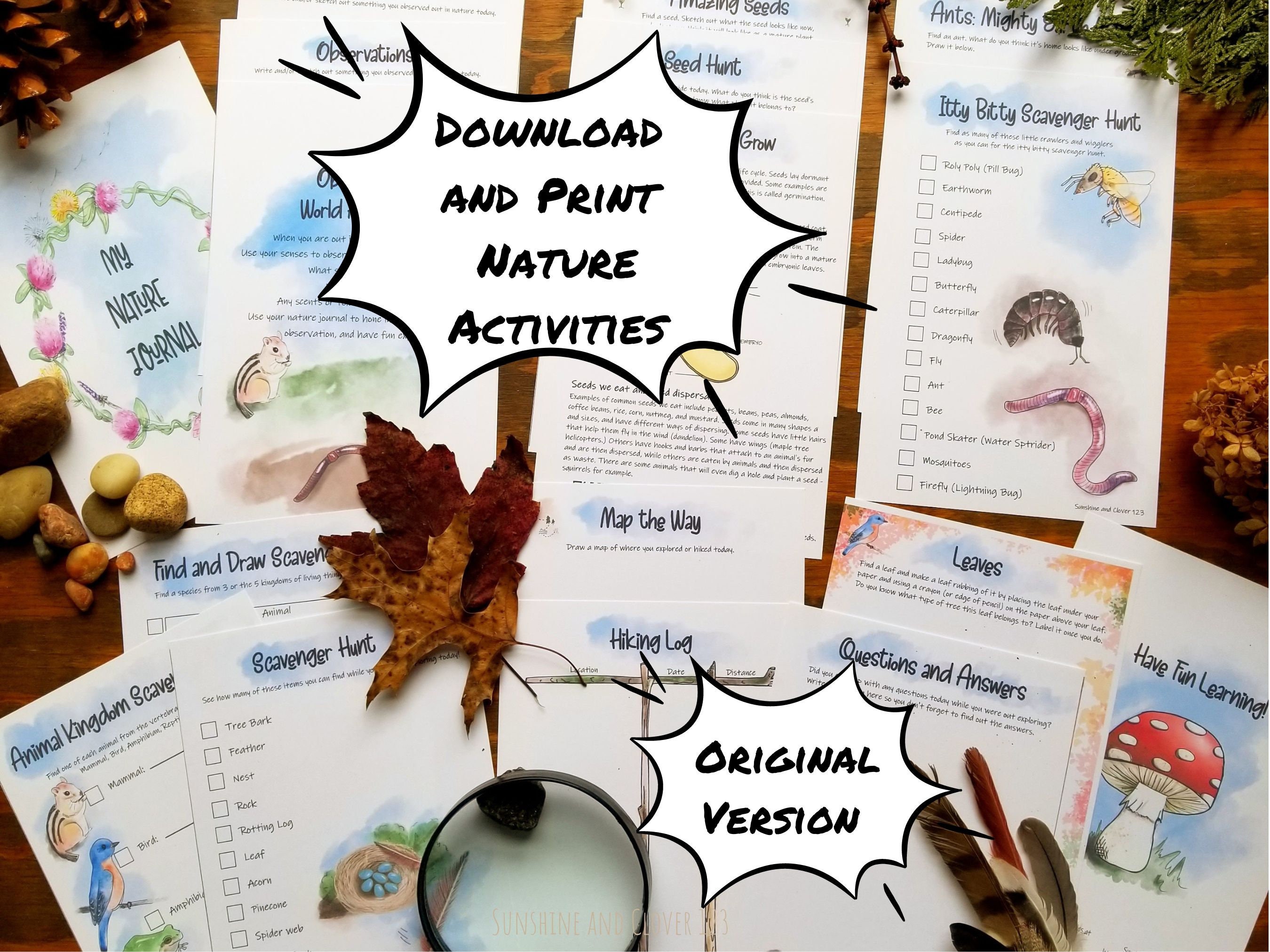 Nature Journal for Kids, Printable Nature Booklet, Charlotte Mason ...