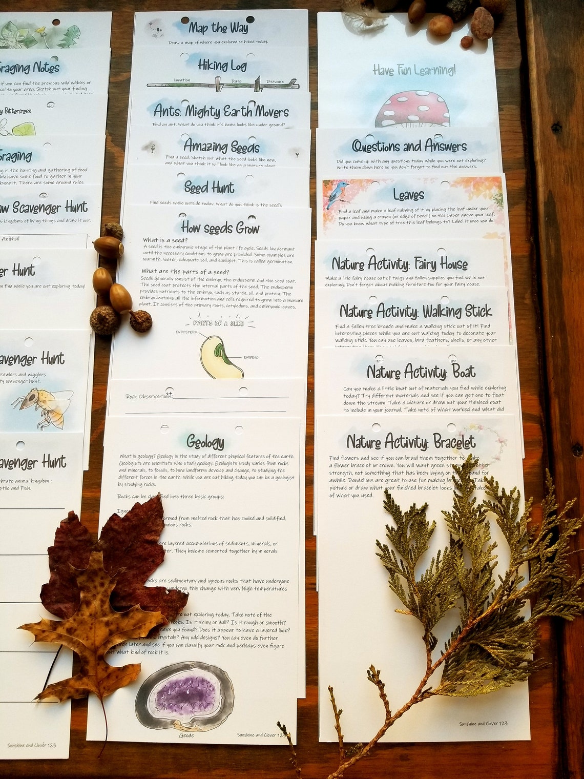 Nature Journal Printable Nature Booklet Outdoor Activities - Etsy