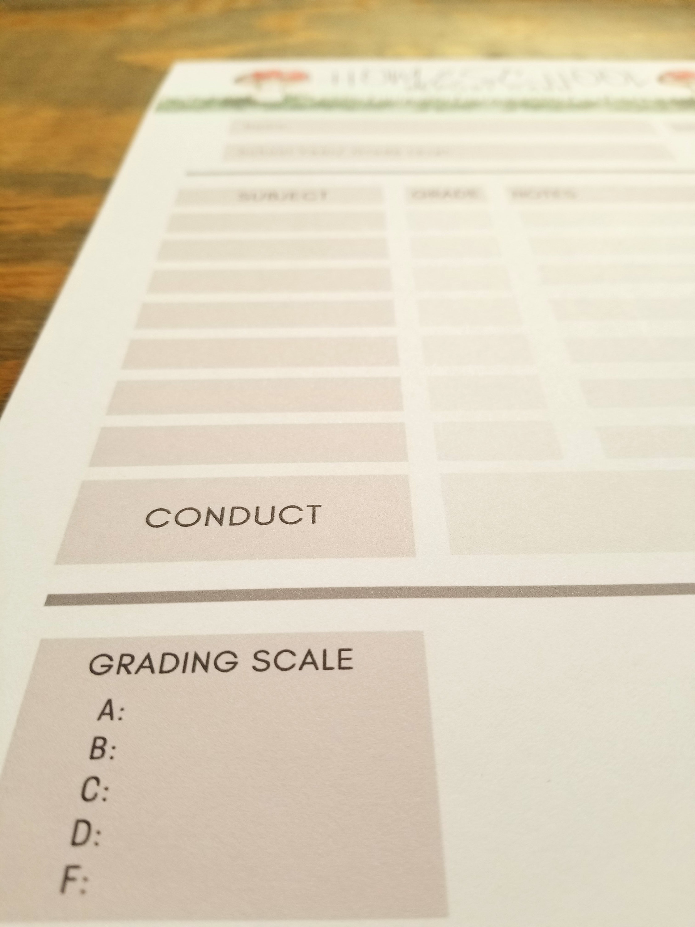 Printable Homeschool Report Card, Hand Illustrated Grade Card for ...