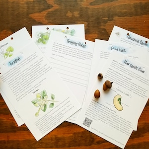Nature Journal, Printable Nature Booklet, Outdoor Activities for Kids ...