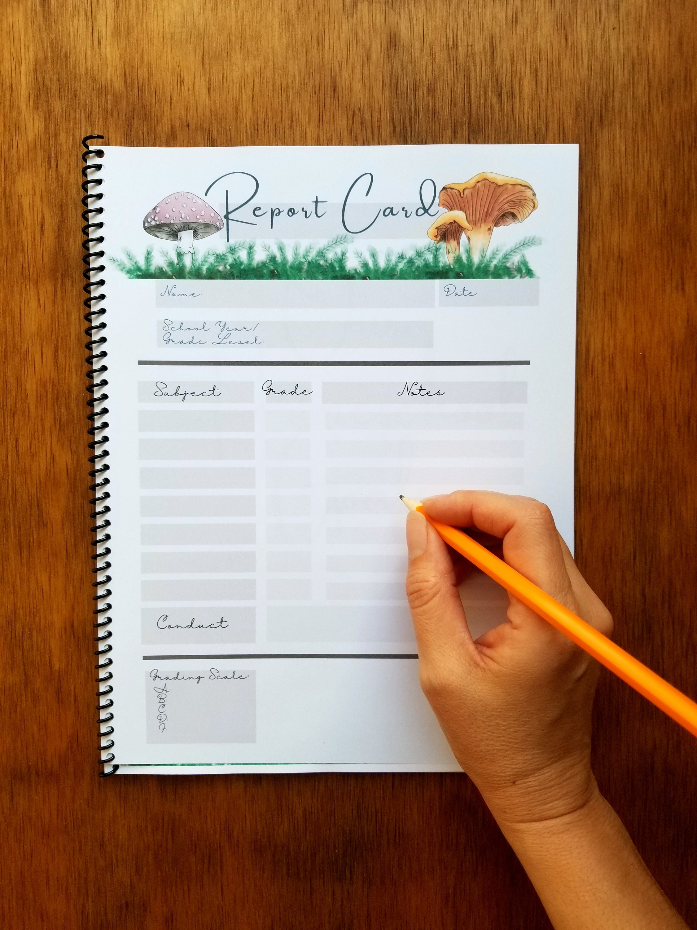 Homeschool Report Card, Printable Grade Card, Homeschool Printables ...