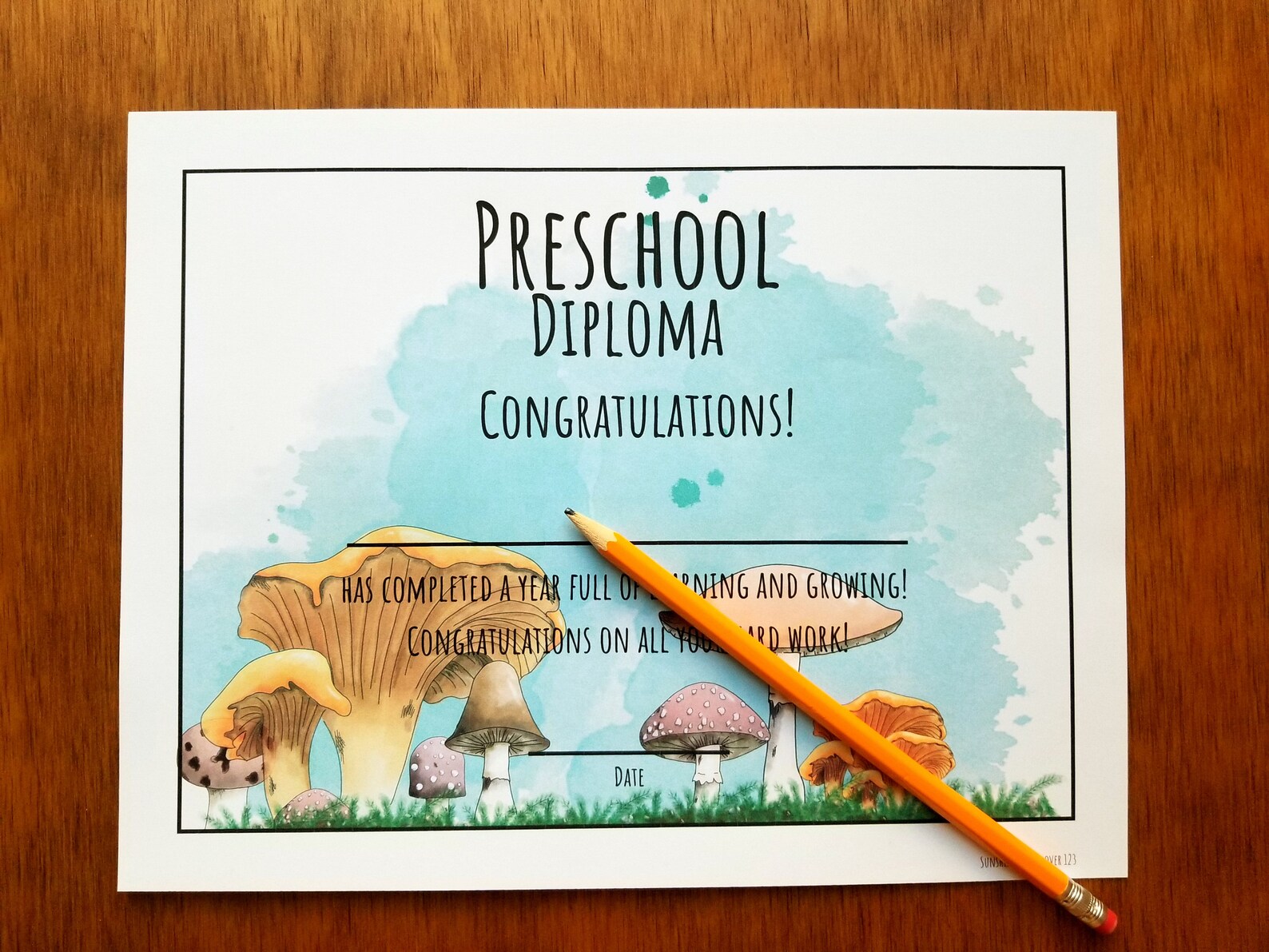 Printable Diplomas 2024 Graduation Homeschool Diplomas Certificate of ...