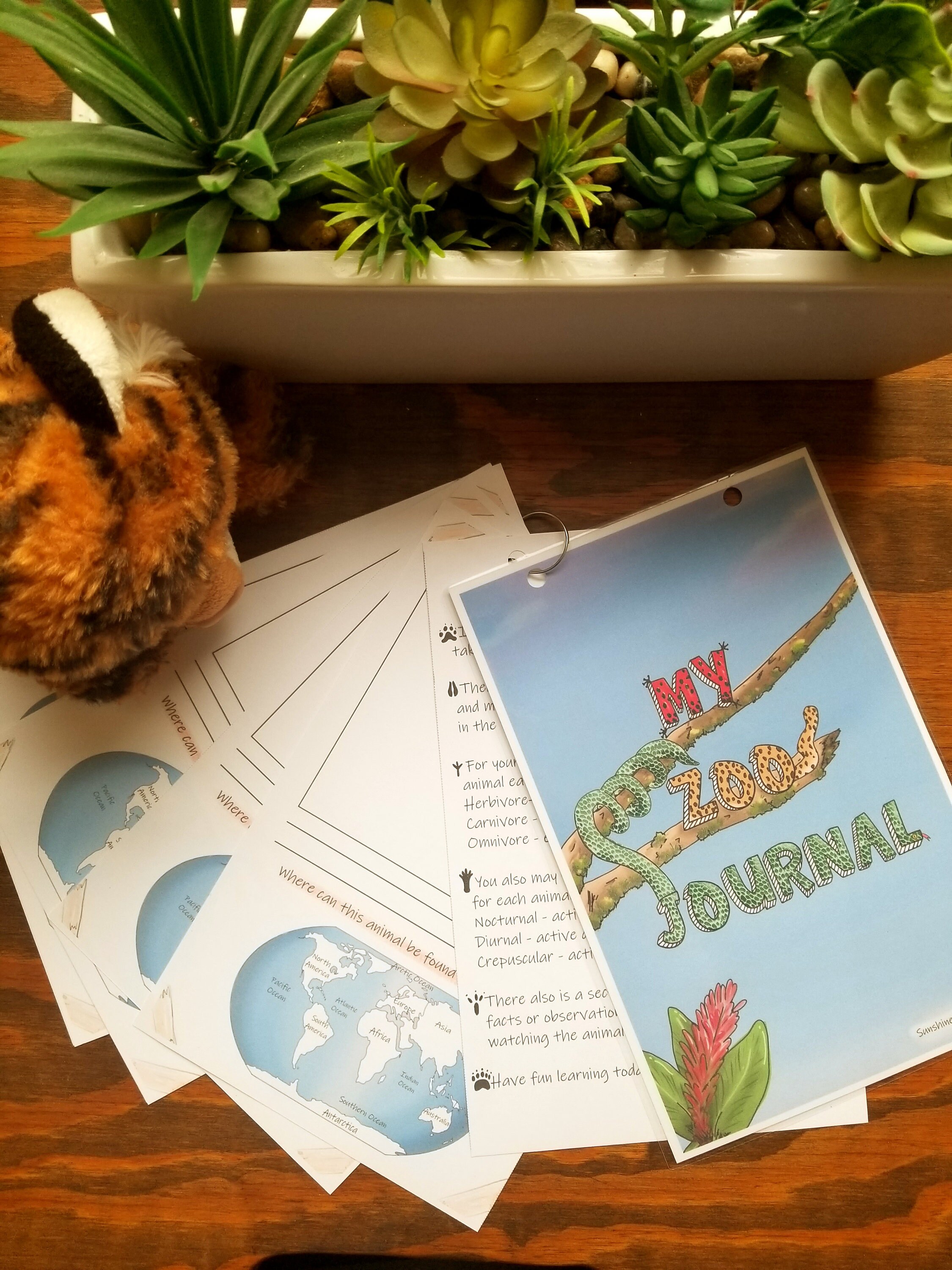 Zoo Field Trip Activity Booklet, Homeschool Field Trip, Educational Zoo ...