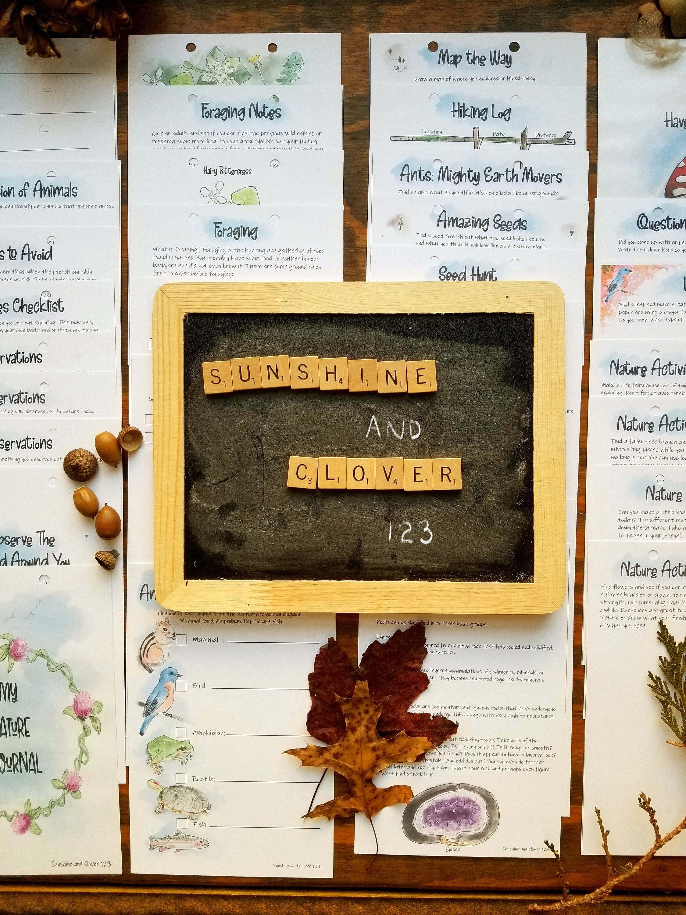 Nature Journal, Printable Nature Booklet, Outdoor Activities for Kids ...