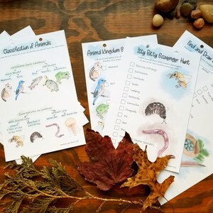 Nature Journal, Printable Nature Booklet, Outdoor Activities for Kids ...