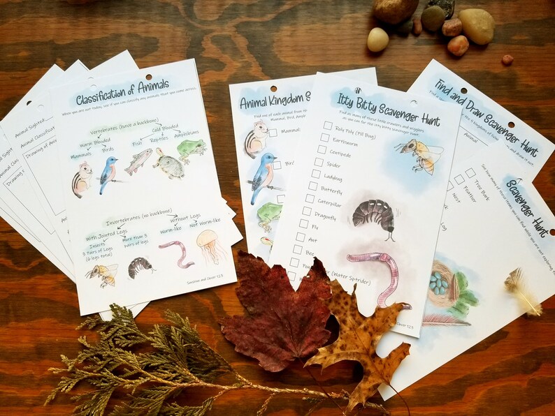 Nature Journal, Printable Nature Booklet, Outdoor Activities for Kids ...