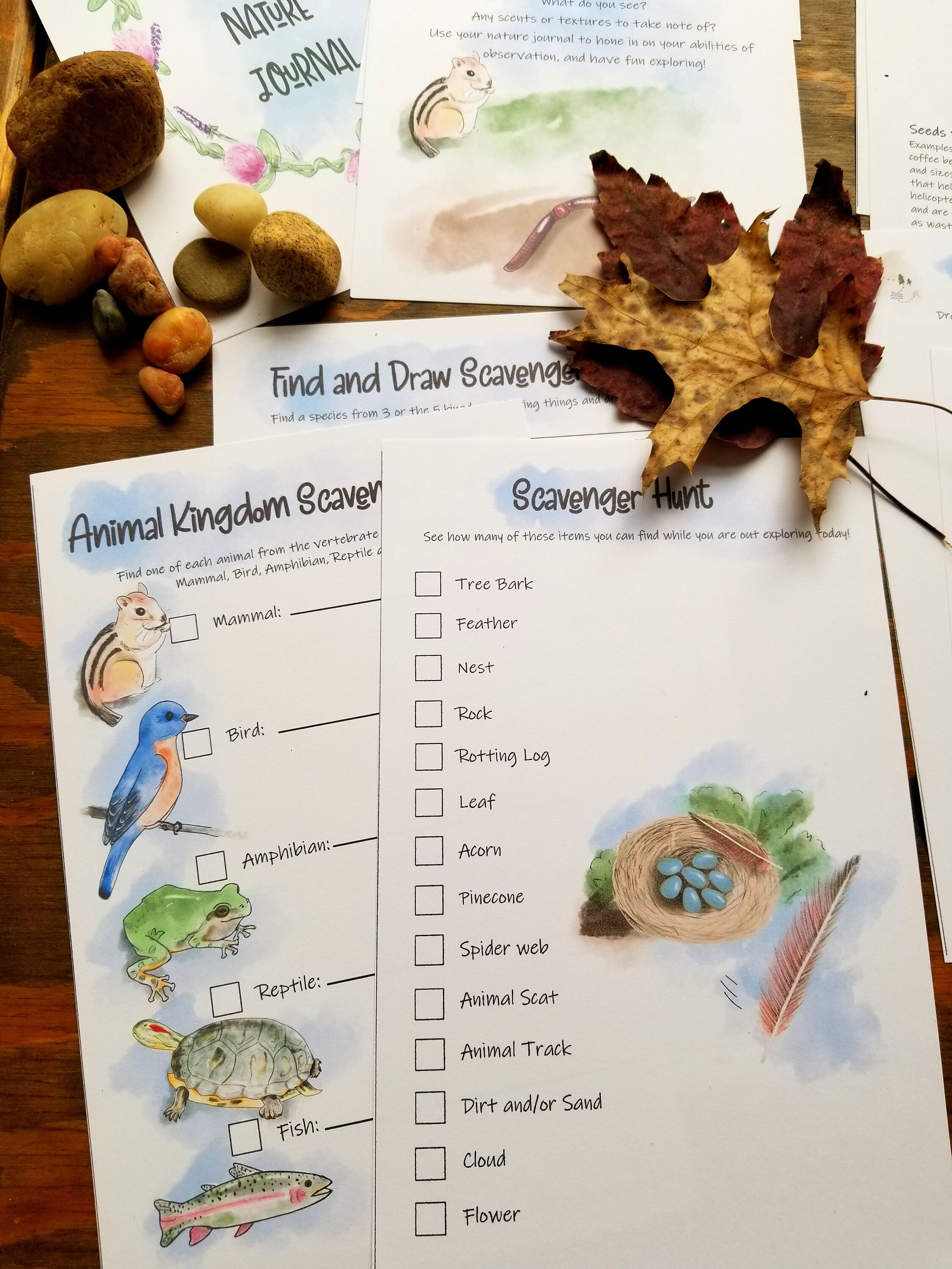 Nature Journal and Zoo Field Trip Bundle, Nature Diary and Scavenger ...