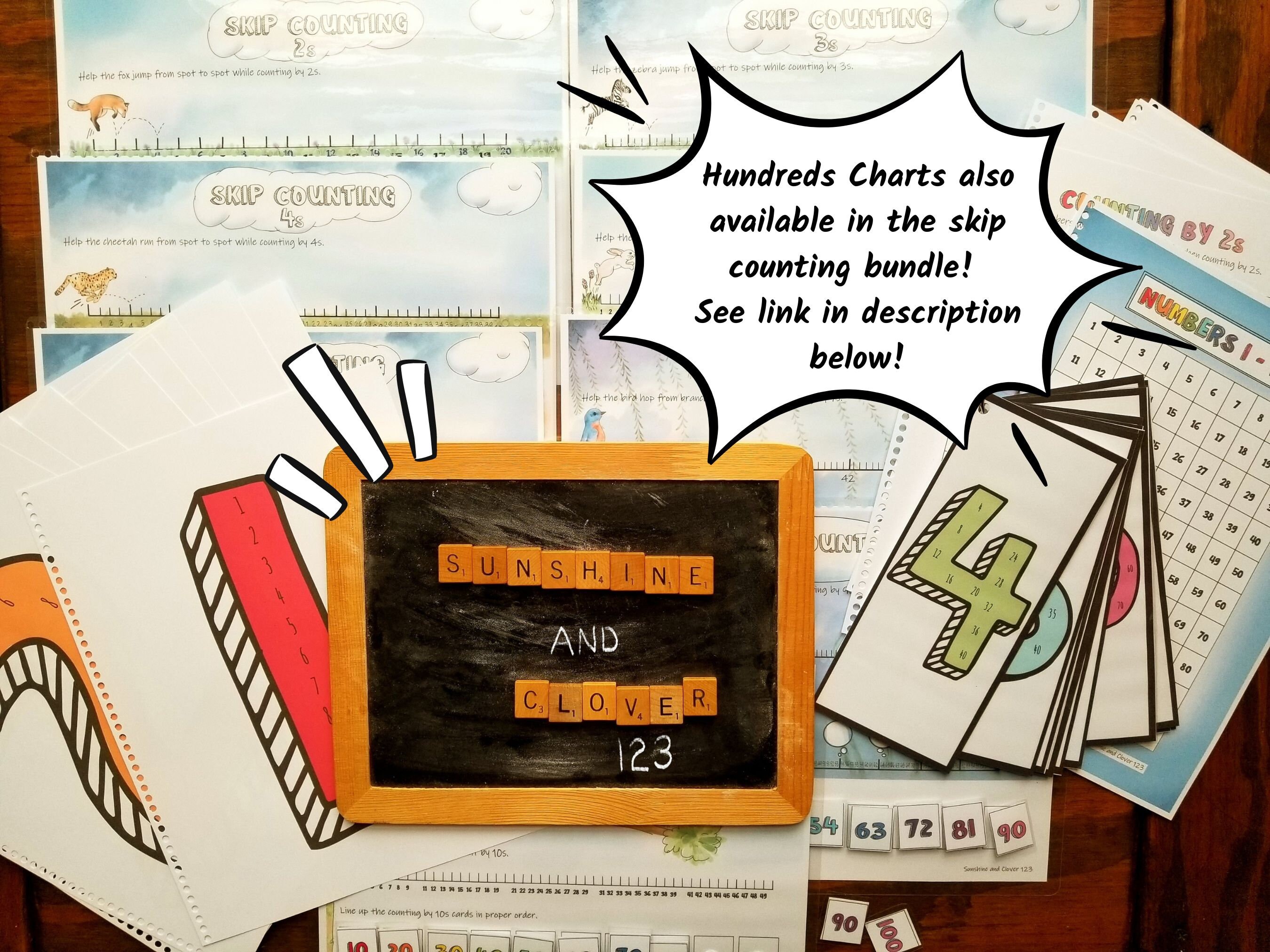 Hundred Chart Skip Counting by 2s 5s and 10s 100 Chart - Etsy UK