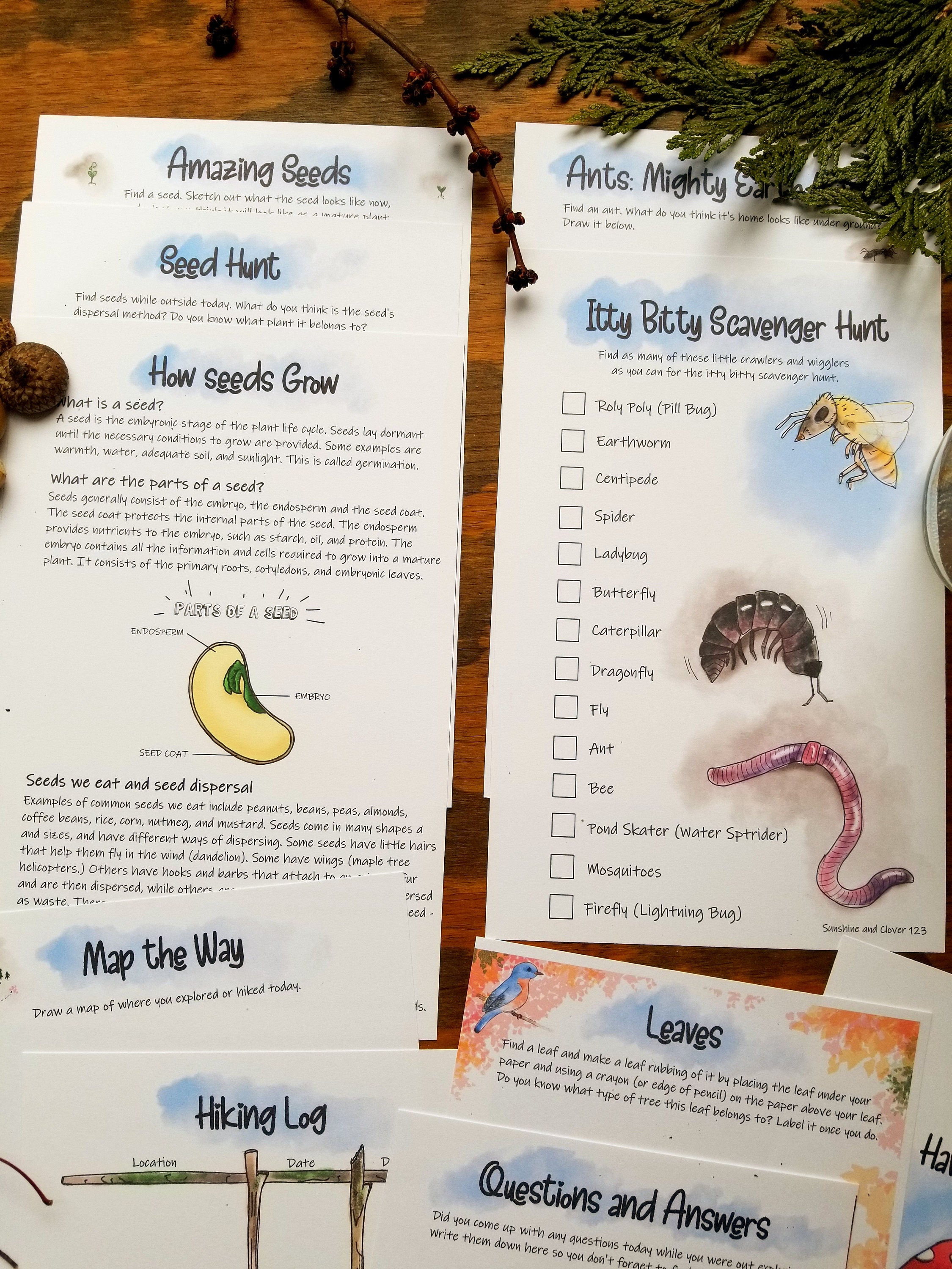 Nature Journal for Kids, Printable Nature Booklet, Charlotte Mason ...