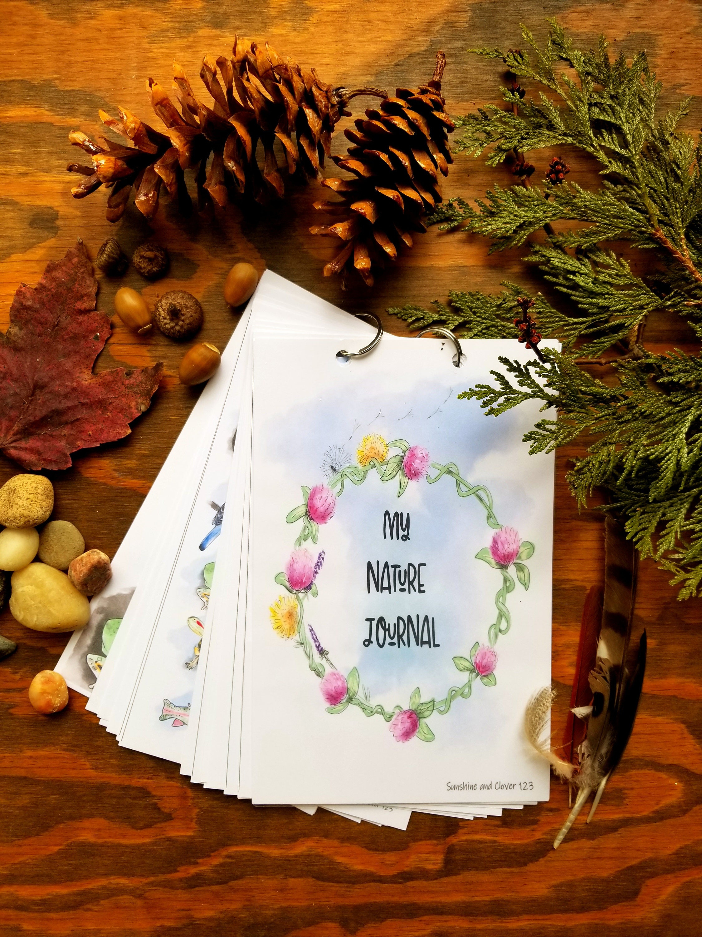 Nature Journal for Kids, Printable Nature Booklet, Charlotte Mason ...