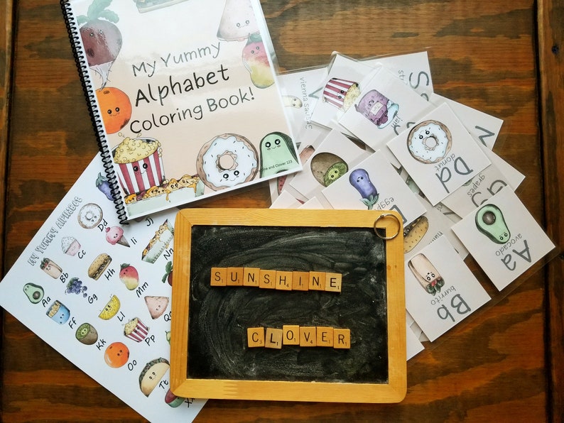 Spiral Bound Alphabet Activity Book, Laminated Alphabet Flash Cards ...