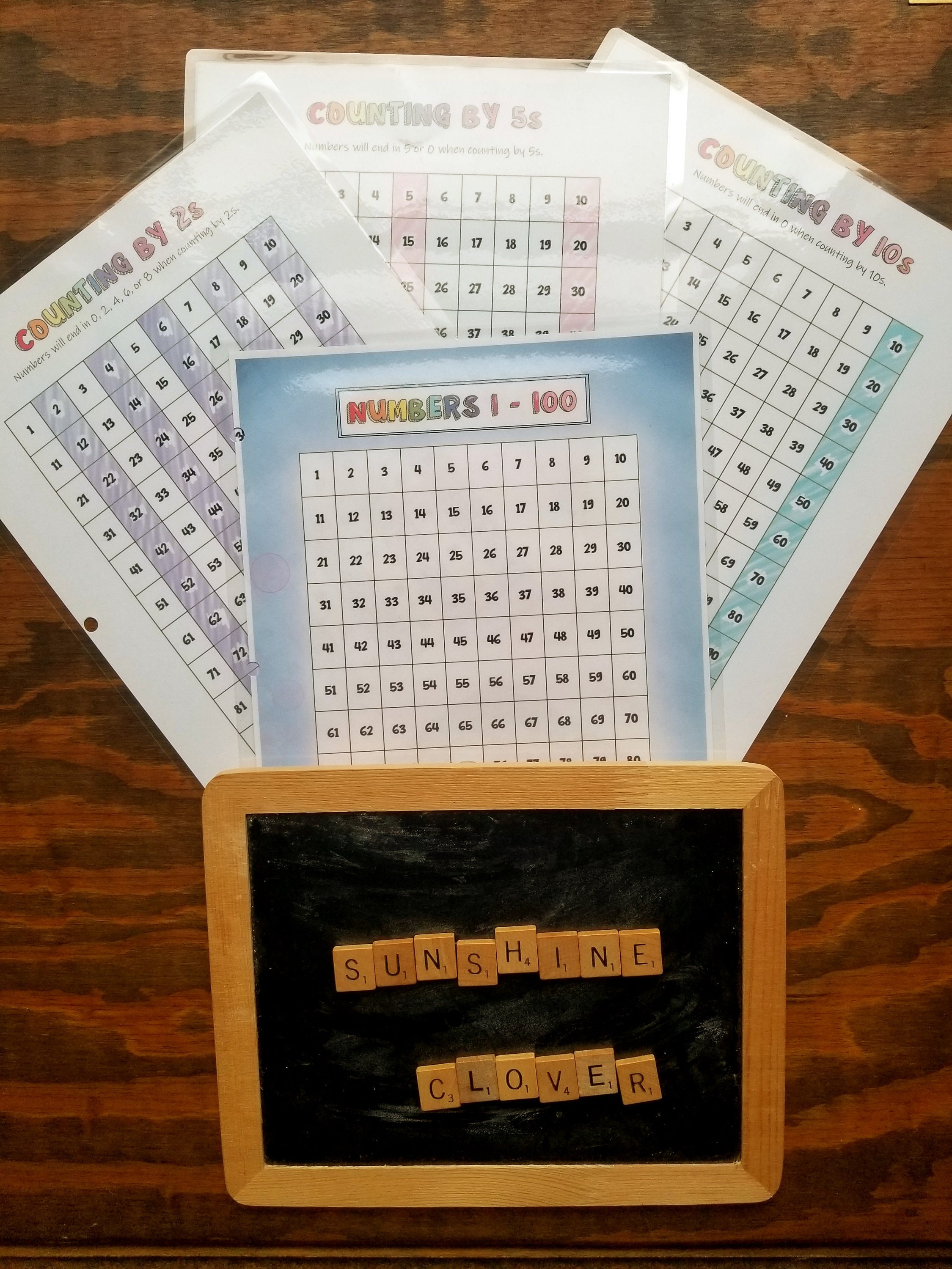 Hundred Chart Skip Counting by 2s 5s and 10s 100 Chart - Etsy España