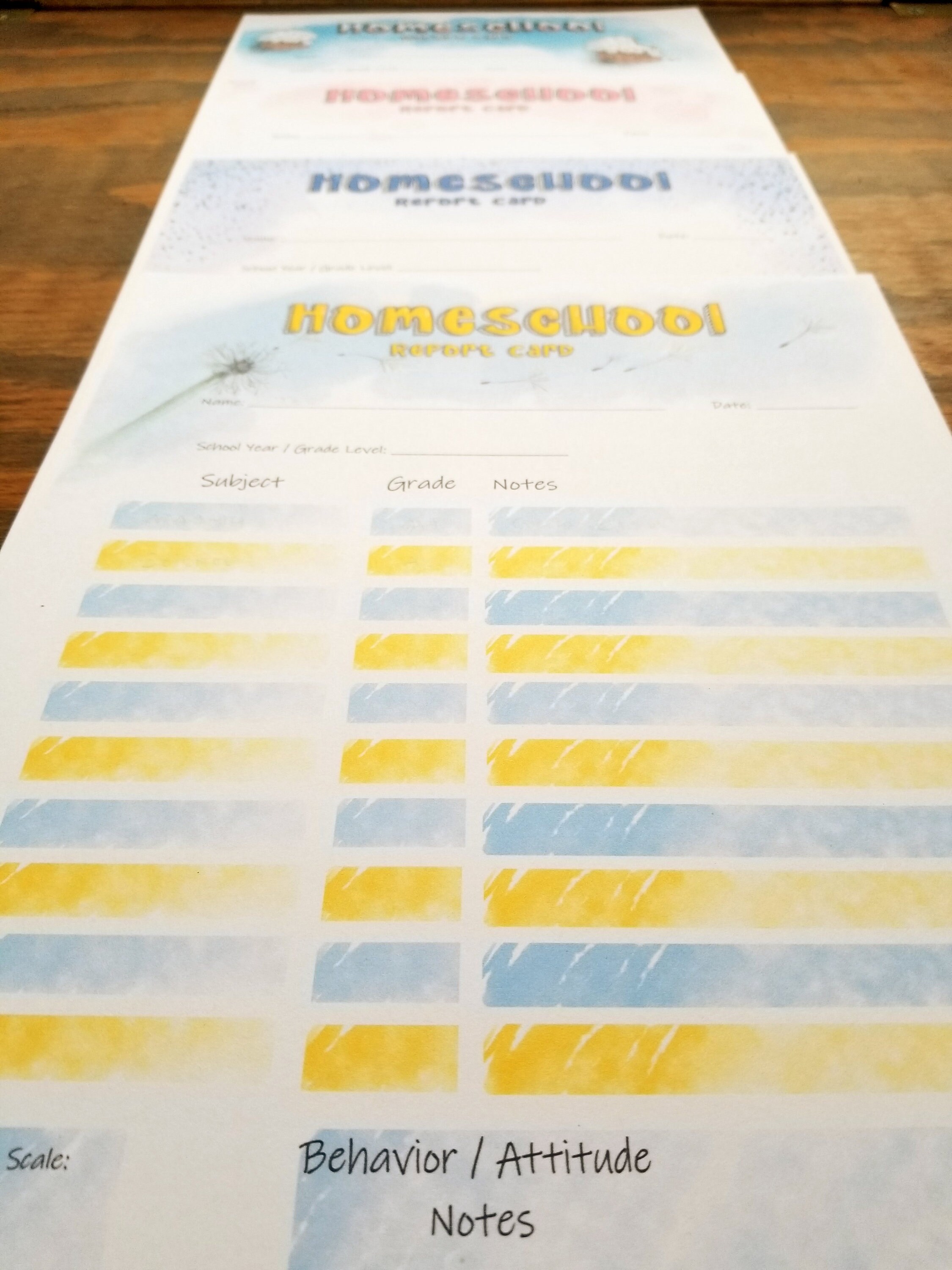 Homeschool Report Card Bundle, Homeschool Printable Grade Cards ...