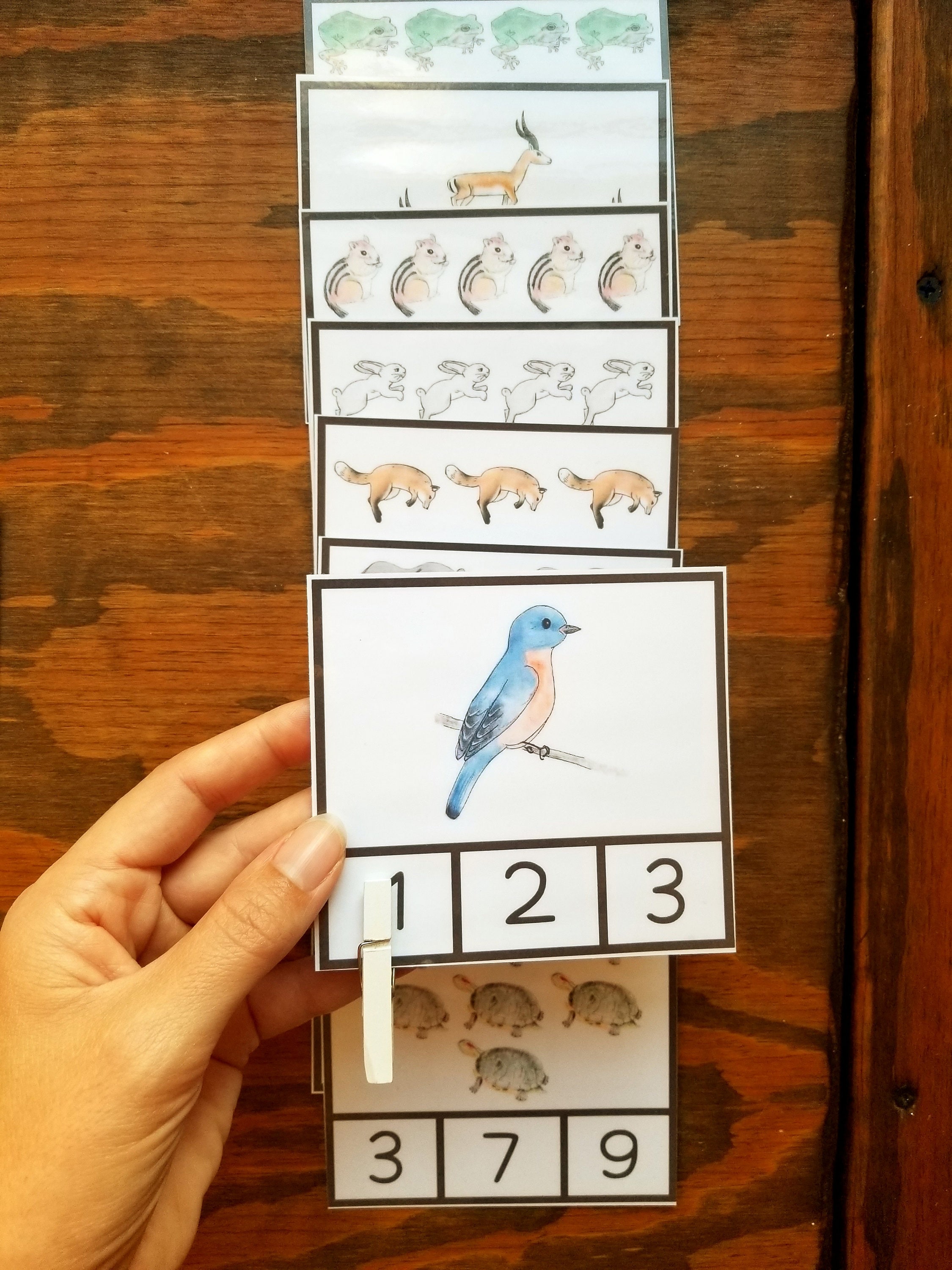 Preschool Numbers Activity, Homeschool Preschool Printable, Count and ...