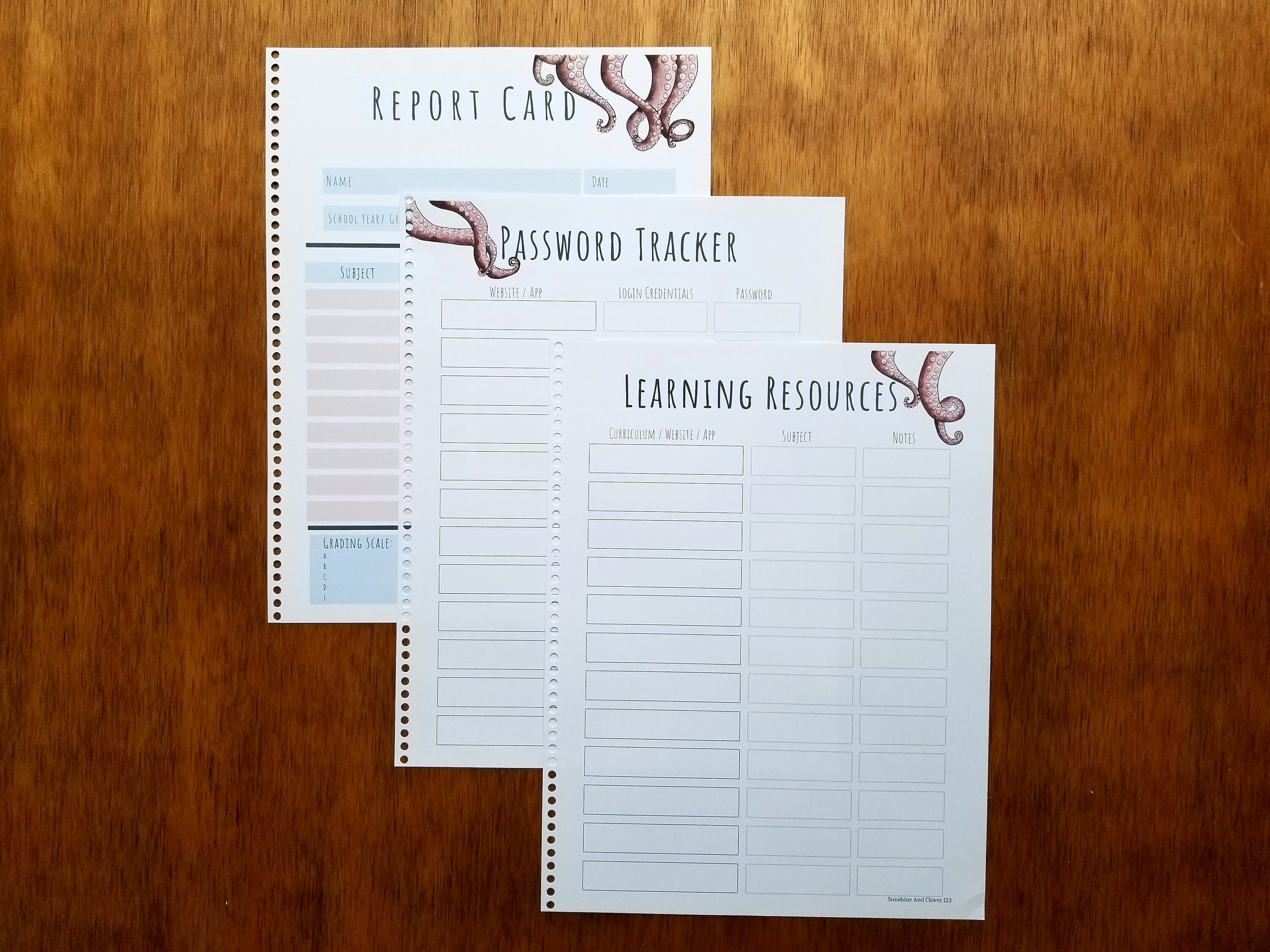 Printable Homeschool Planner Lesson Planner Download and Print Planner ...