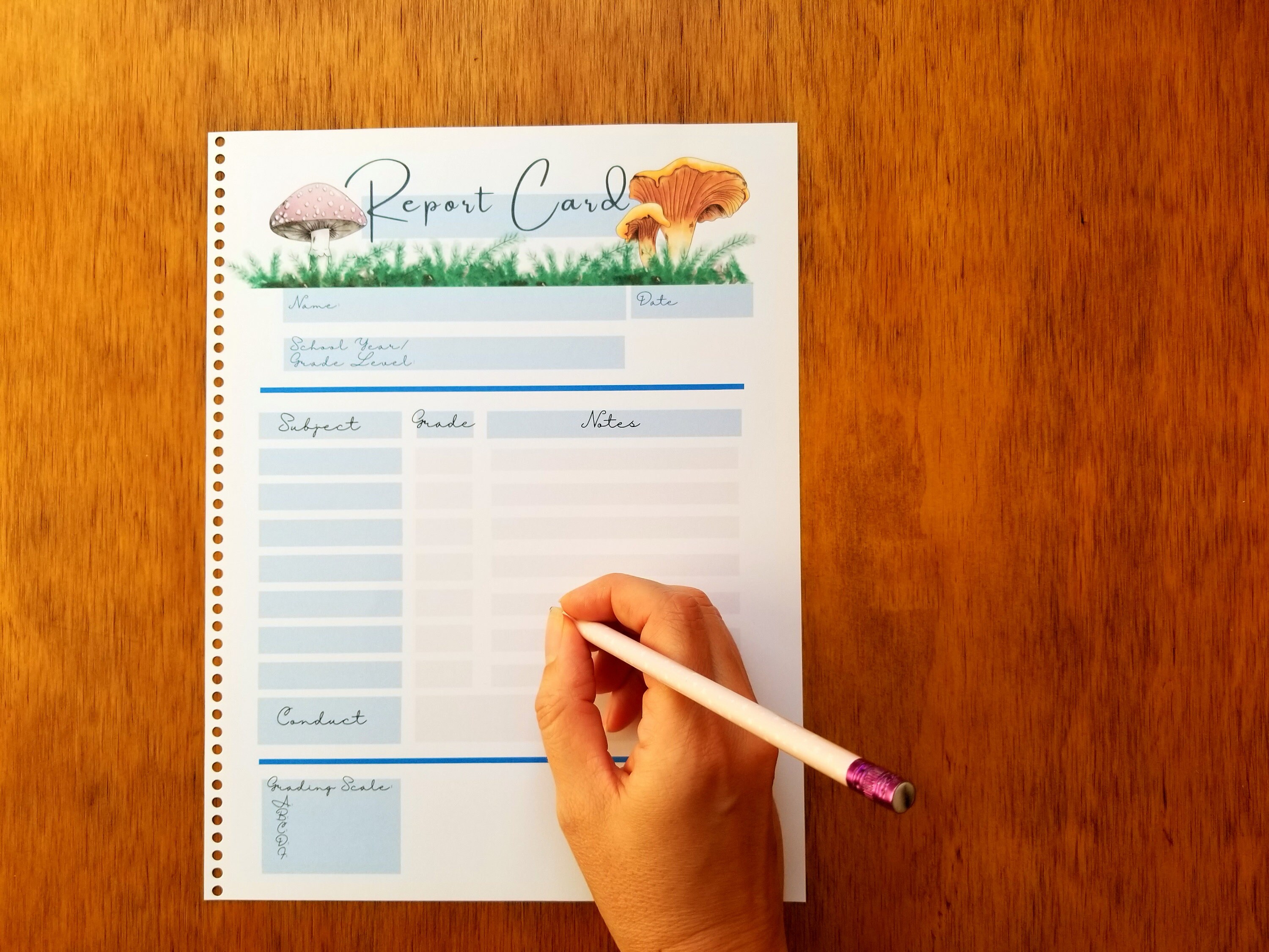 Mushroom Report Card, Homeschool Printables, Homeschool Supplies, Grade ...