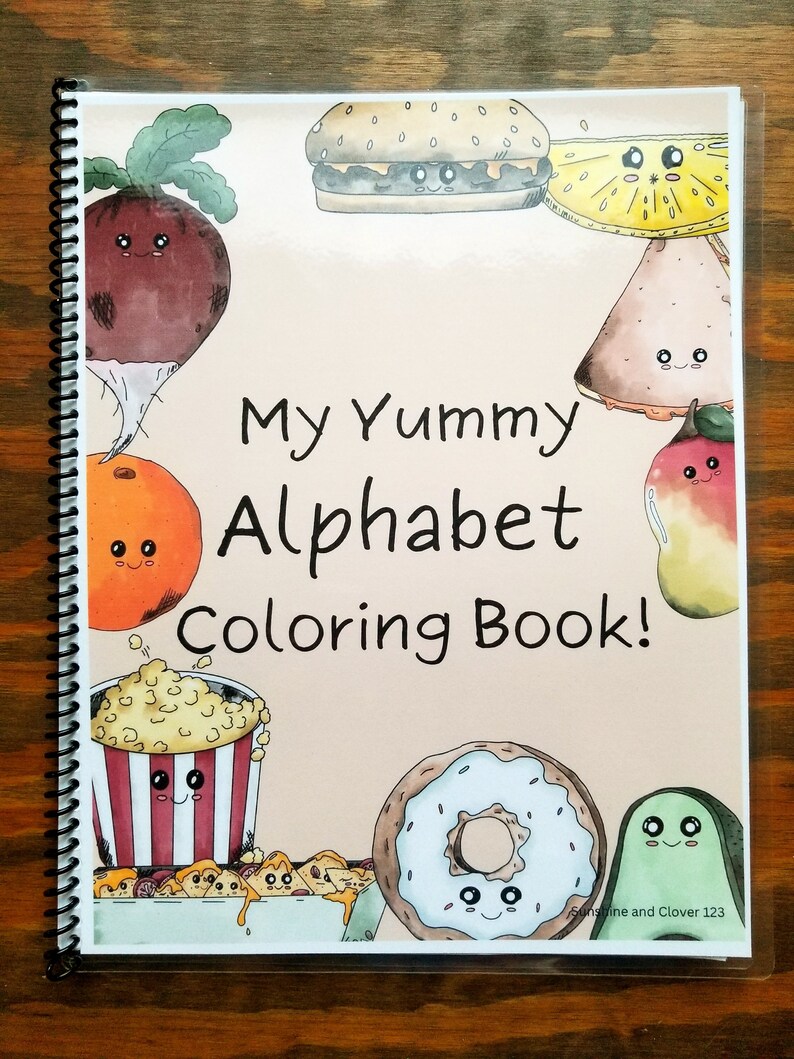 Spiral Bound Alphabet Activity Book, Laminated Alphabet Flash Cards ...