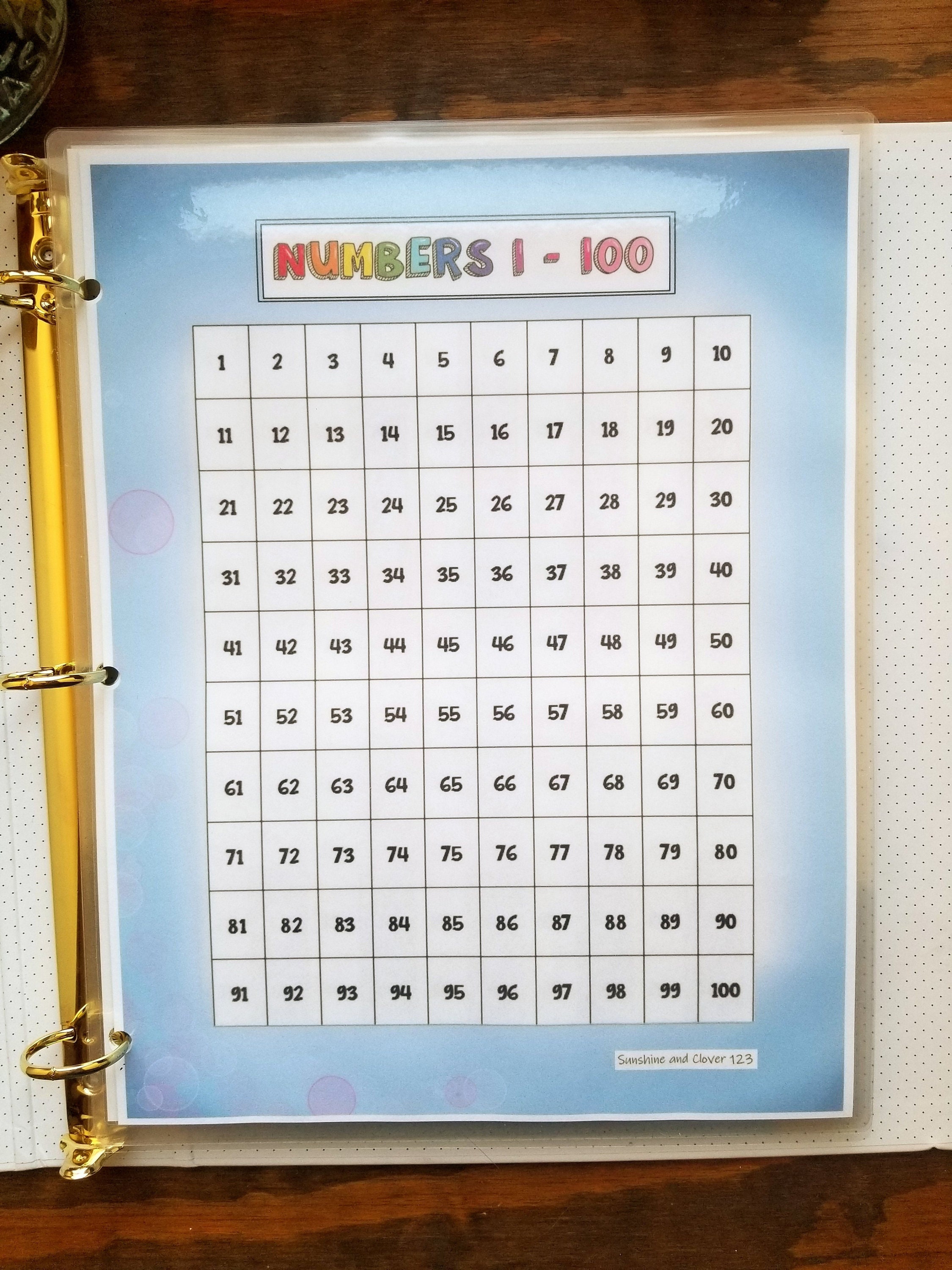 Hundred Chart Skip Counting by 2s 5s and 10s 100 Chart - Etsy España