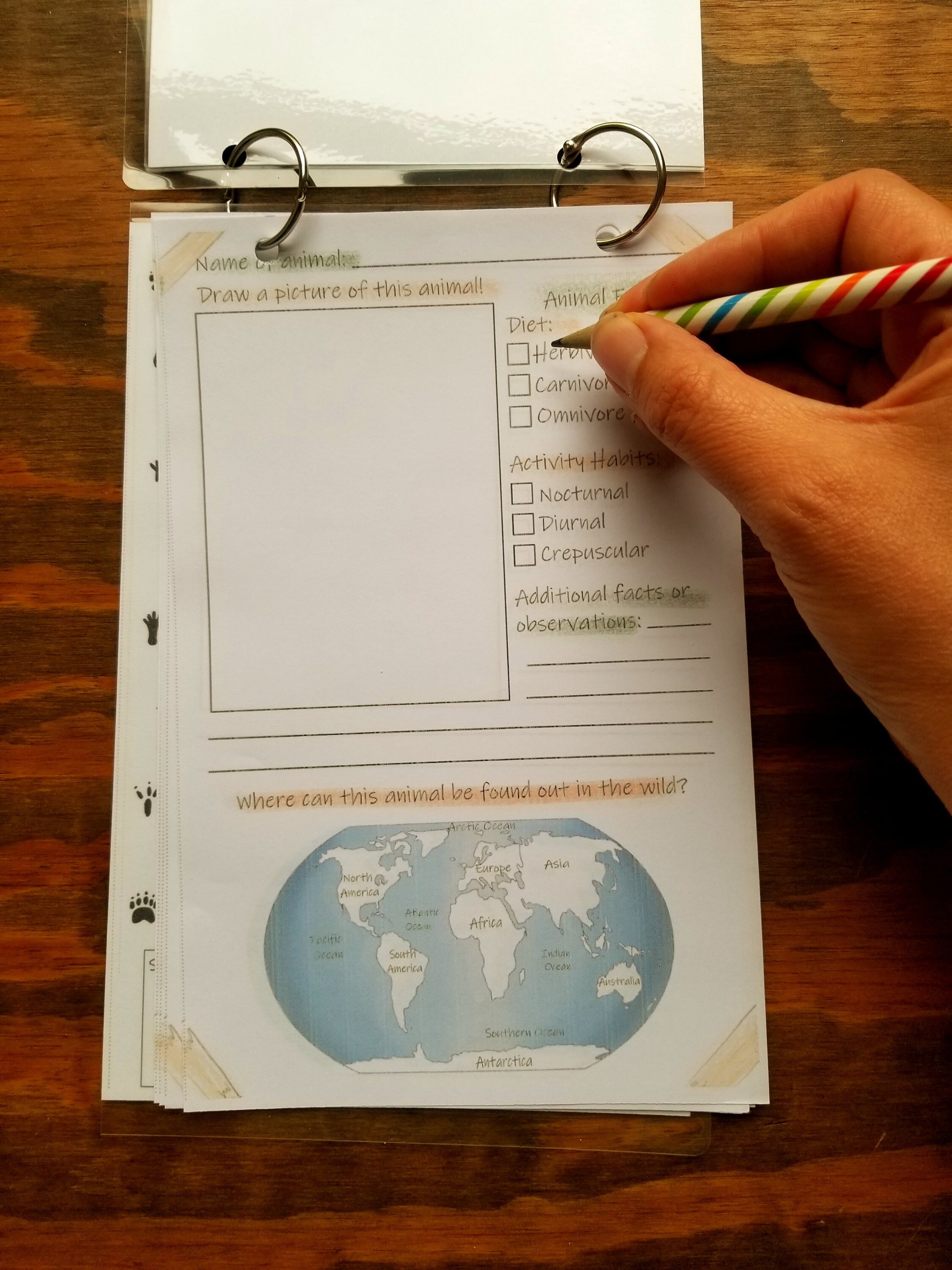 Zoo Field Trip Activity Booklet, Homeschool Field Trip, Educational Zoo ...