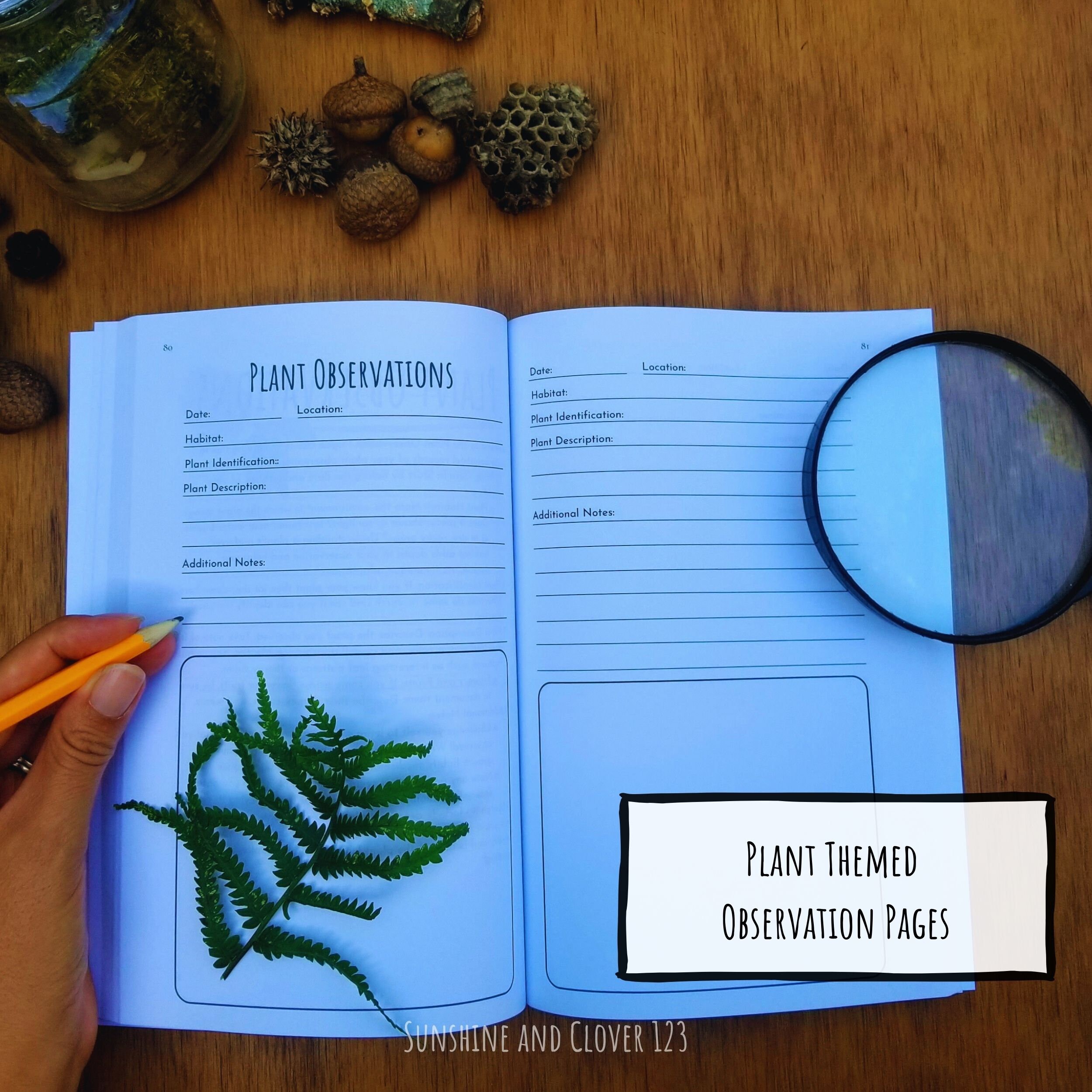 Nature Journal for Kids Camping Activity Book Outdoor Educational ...