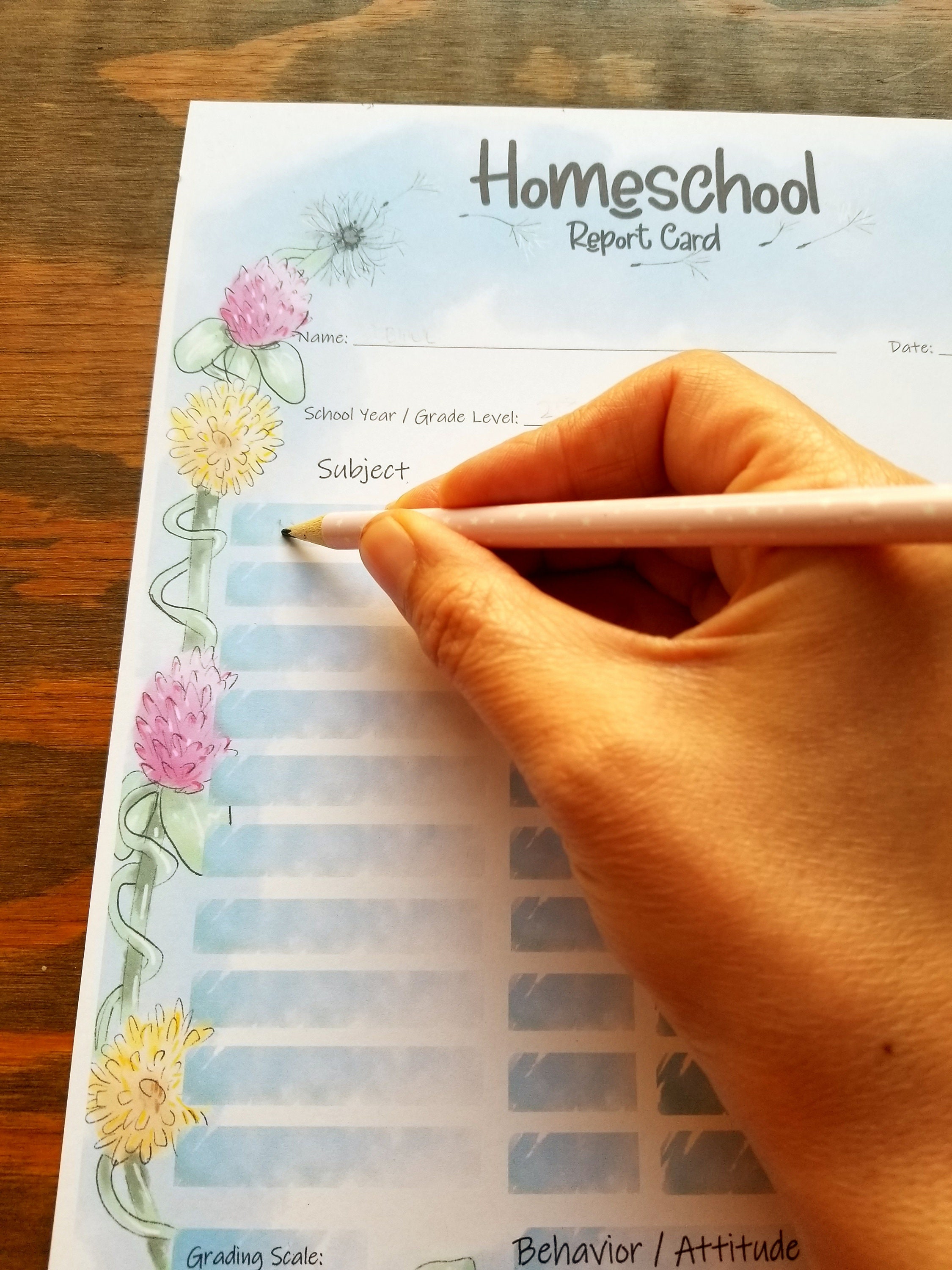Grade Card for Homeschoolers, Homeschool Report Card, Printable ...