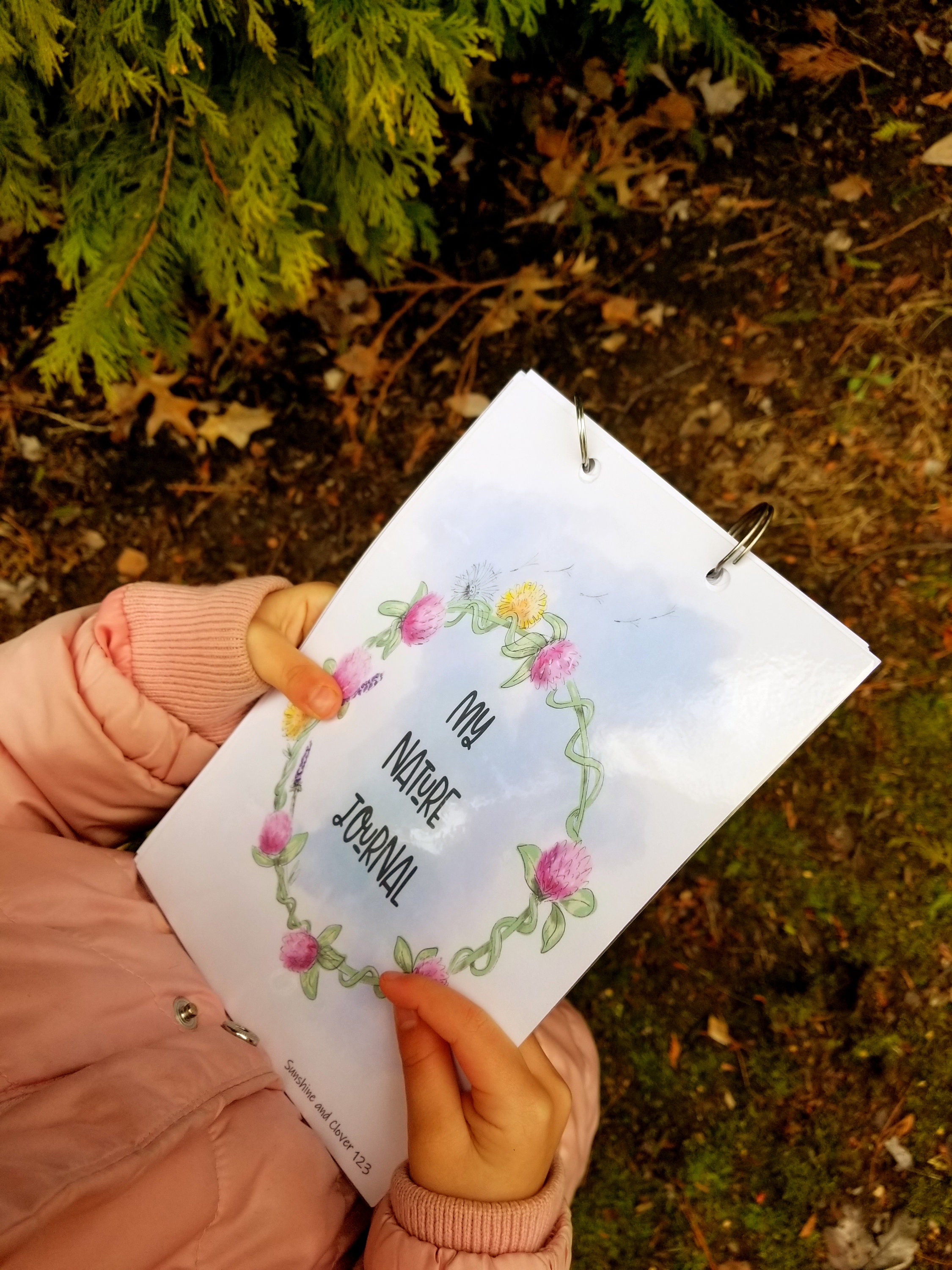 Nature Journal for Kids, Printable Nature Booklet, Charlotte Mason ...