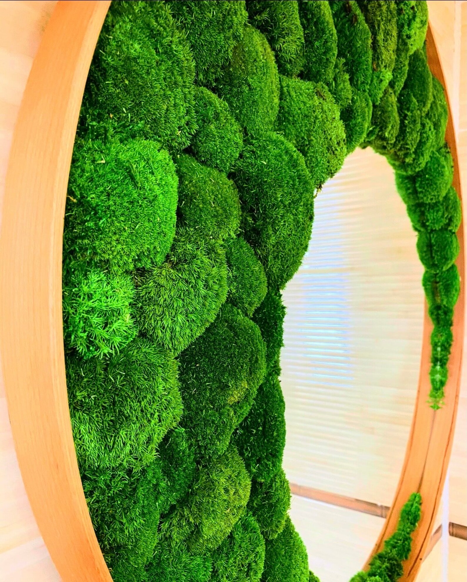 Preserved Moss Mirror Wall Art Moss Decor Moss Art Framed - Etsy