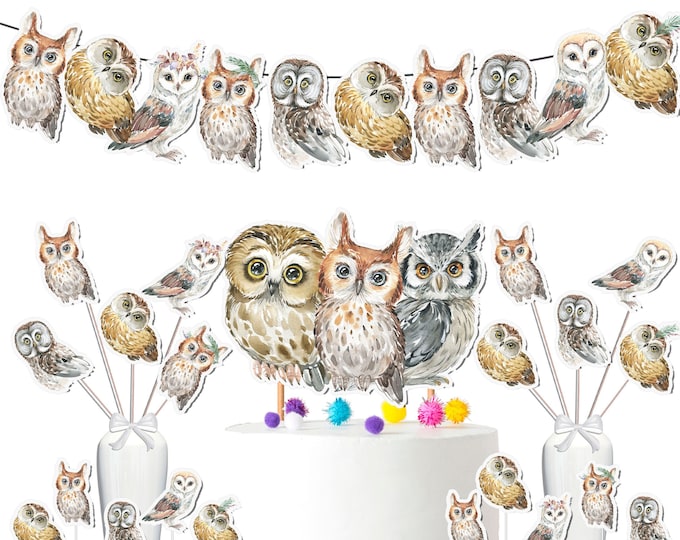 Owls Cupcake Toppers, Owls Cake Toppers, Owls Party, Cupcake Toppers ...