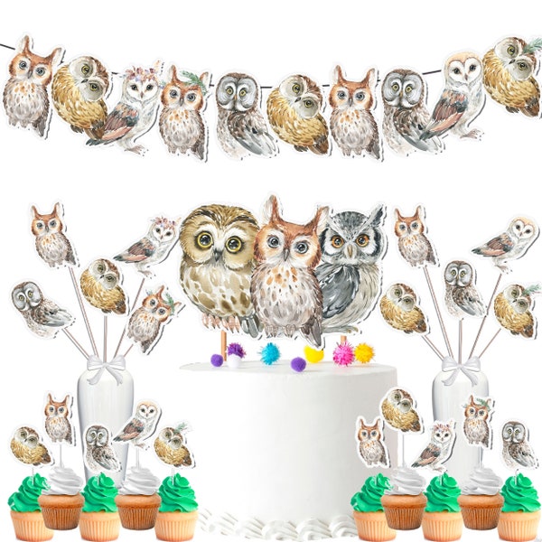 Owl Decor - Etsy