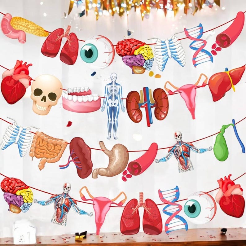 Human Anatomy Banner – Funny Body Organs Garland for Medical Student ...