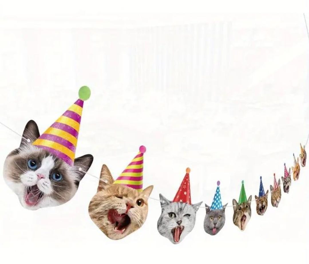 Funny Cat Party Banner – Hilarious Cats With Party Hats Garland for Cat ...