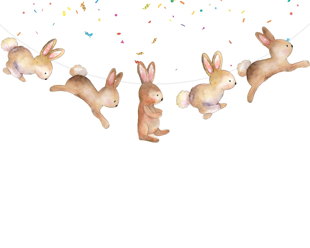 Bunny Birthday Banner Little Bunnies Theme Party Supplies | Baby Shower ...