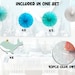 5 Pcs Whales Tissue Hanging Fans Set, 12-inch, Perfect for Ocean-themed ...