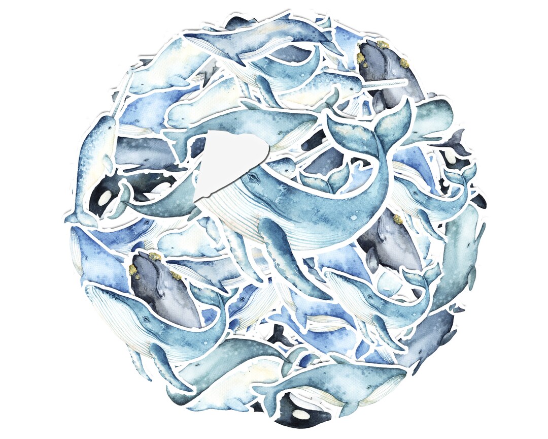 25 Whales Ocean Stickers Pack - Eco-friendly Waterproof Vinyl Decals ...