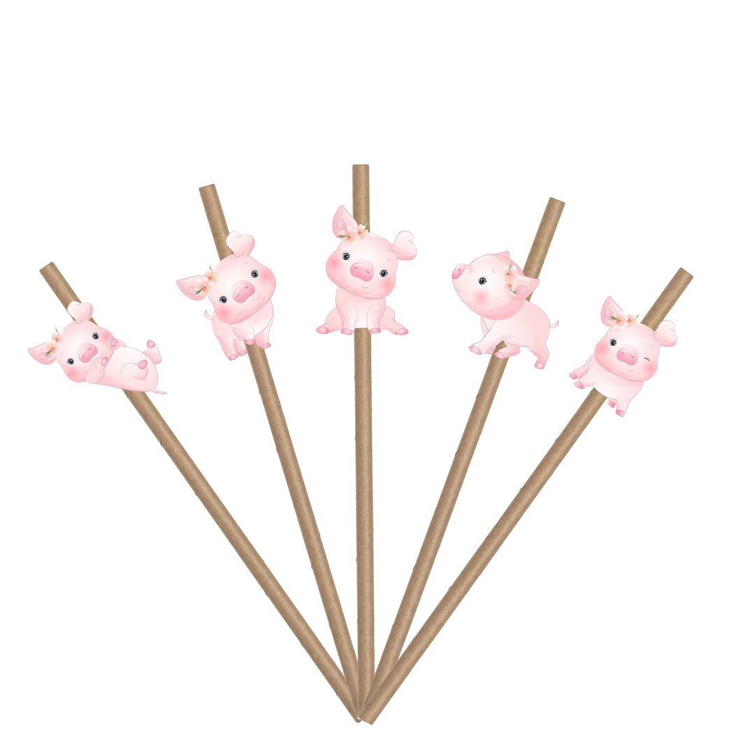 10 PCS Pig for Baby Shower , 1st Birthday | Farm Animals Pigs Theme ...