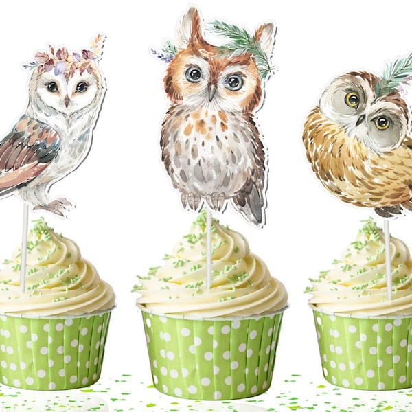 Owl Cupcake Toppers - Etsy