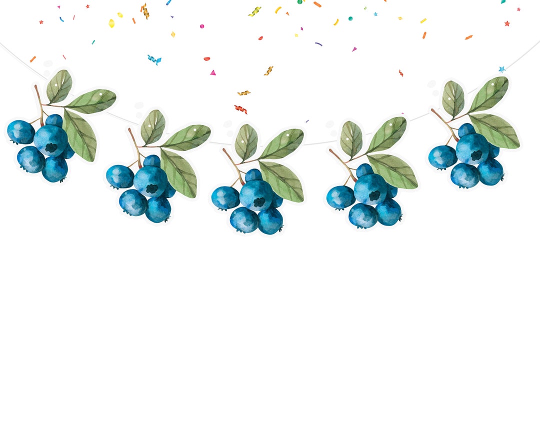 Berries Birthday Banner Cute Watercolor Summer Blueberry Party Supplies ...