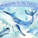 Whalecome to the Party! Blue Whale Birthday Backdrop 5x3 FT - Joyful ...