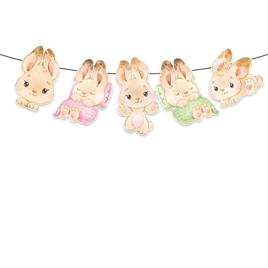 Bunny Birthday Banner Little Bunnies Theme Party Supplies - Etsy