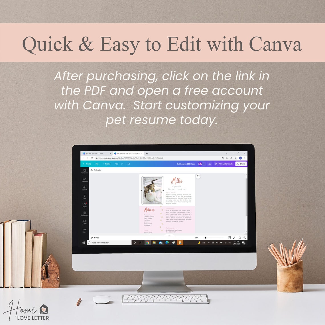 Cat Bio Resume One Pager Renting Pet Profile Foster Cat Bio - Etsy