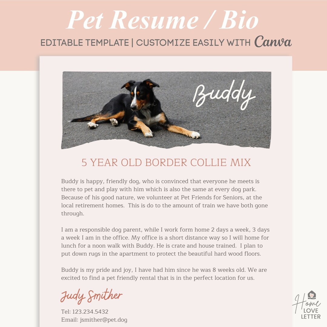 Dog Bio Resume Pet One Pager Renting Pet Profile Foster Cat - Etsy