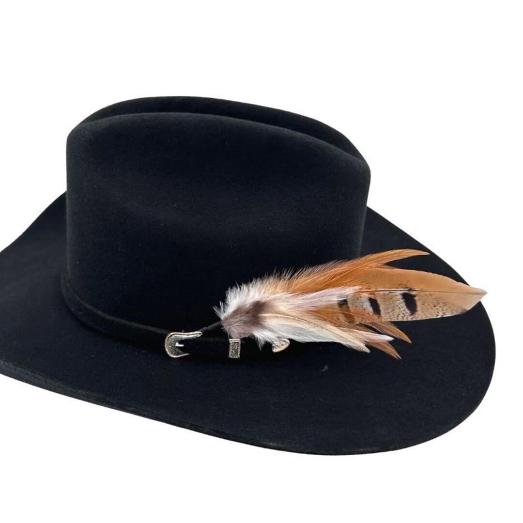 Feather Hat Accent Phoenix - Etsy