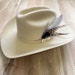 Feather Hat Accent Sweet Cream - Etsy