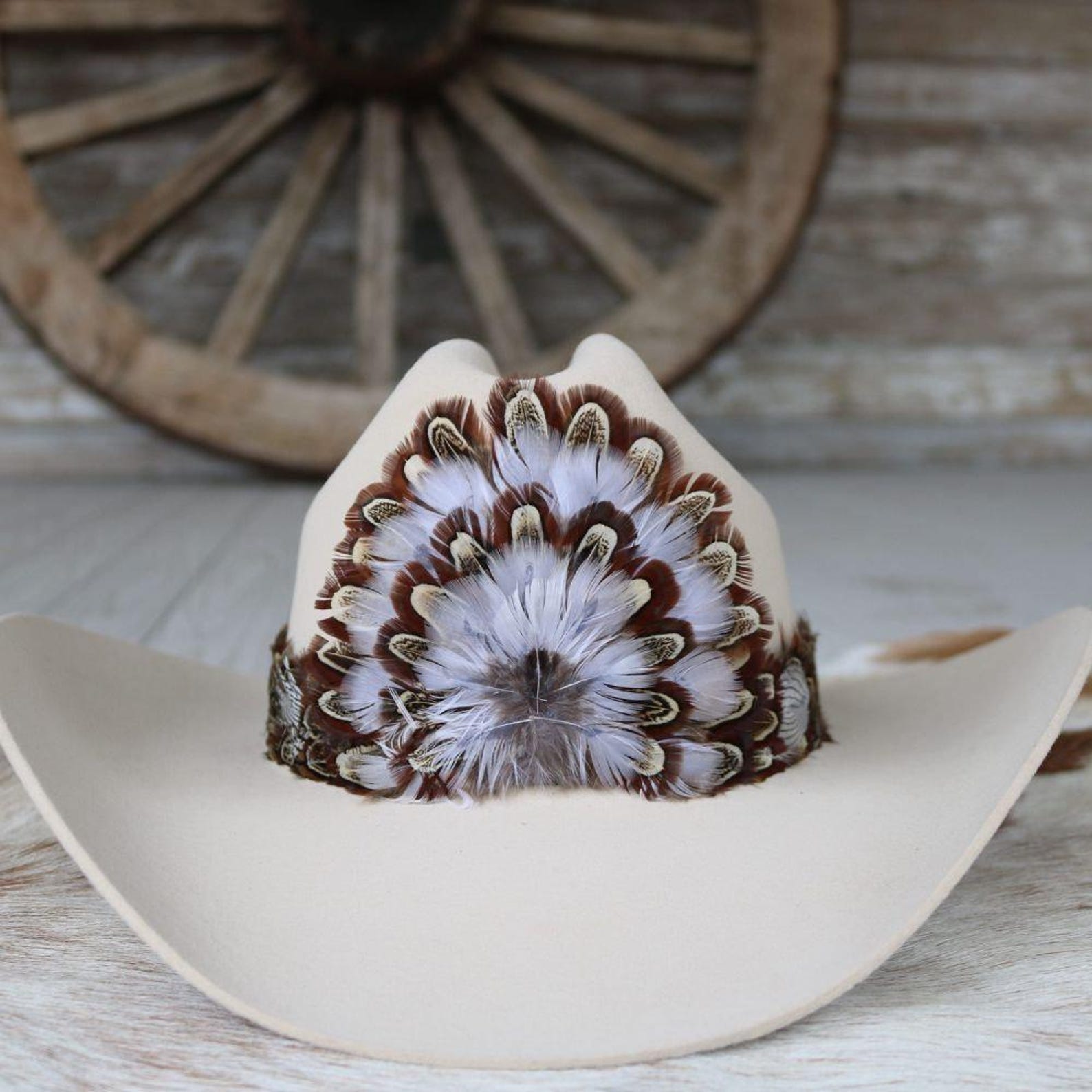 Western Feather Hat Band - Chute - Etsy