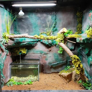 Custom Reptile Backgrounds - Etsy